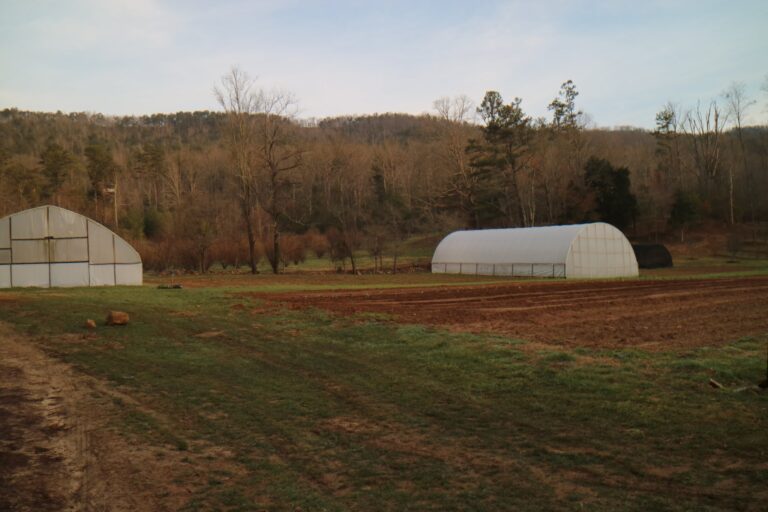 A Visit to Blackberry Farm - The Martha Stewart Blog