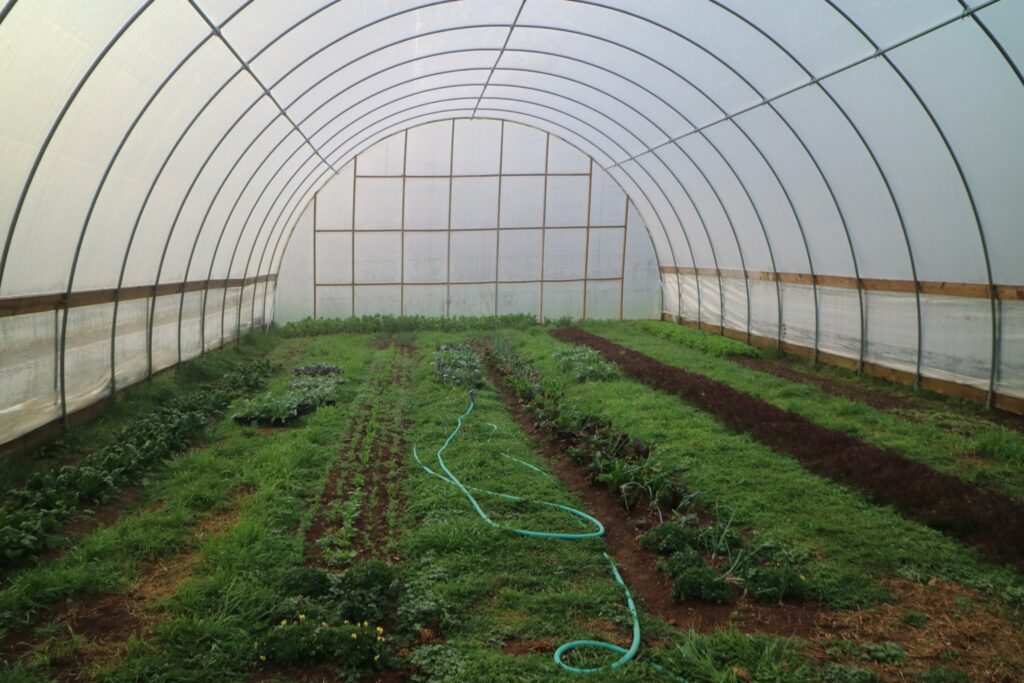 A Visit to Blackberry Farm - The Martha Stewart Blog
