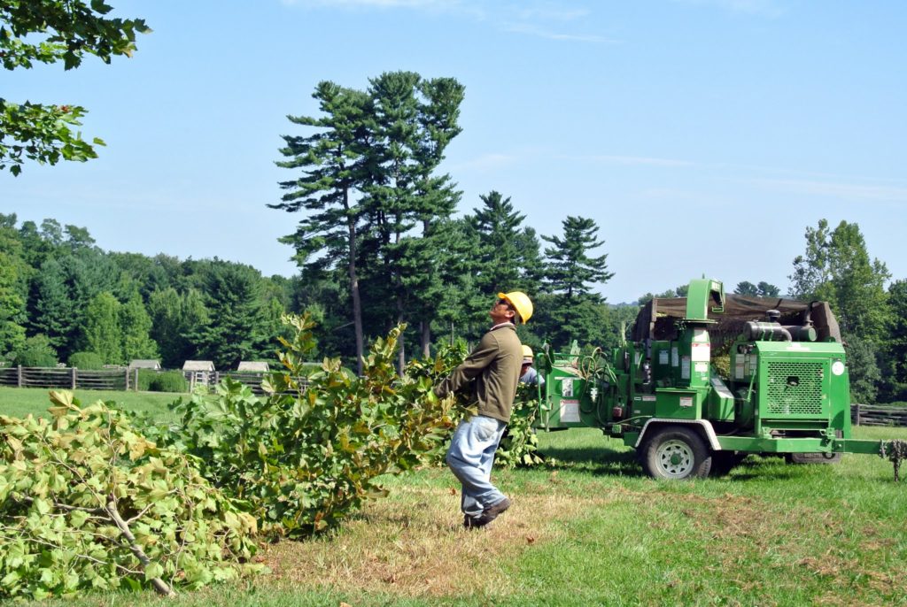 Repurposing a Tree on the Farm - The Martha Stewart Blog