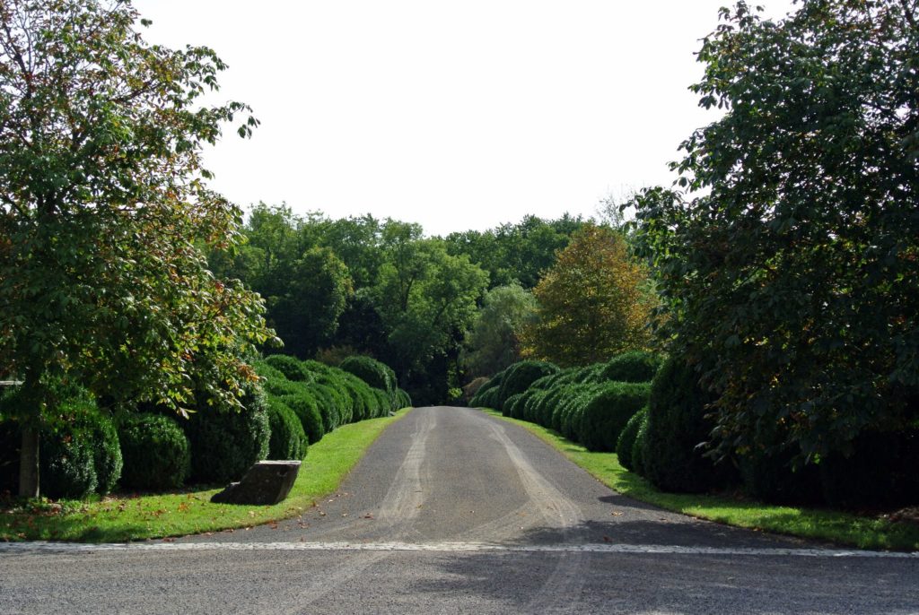 An End of Summer Garden Tour - The Martha Stewart Blog