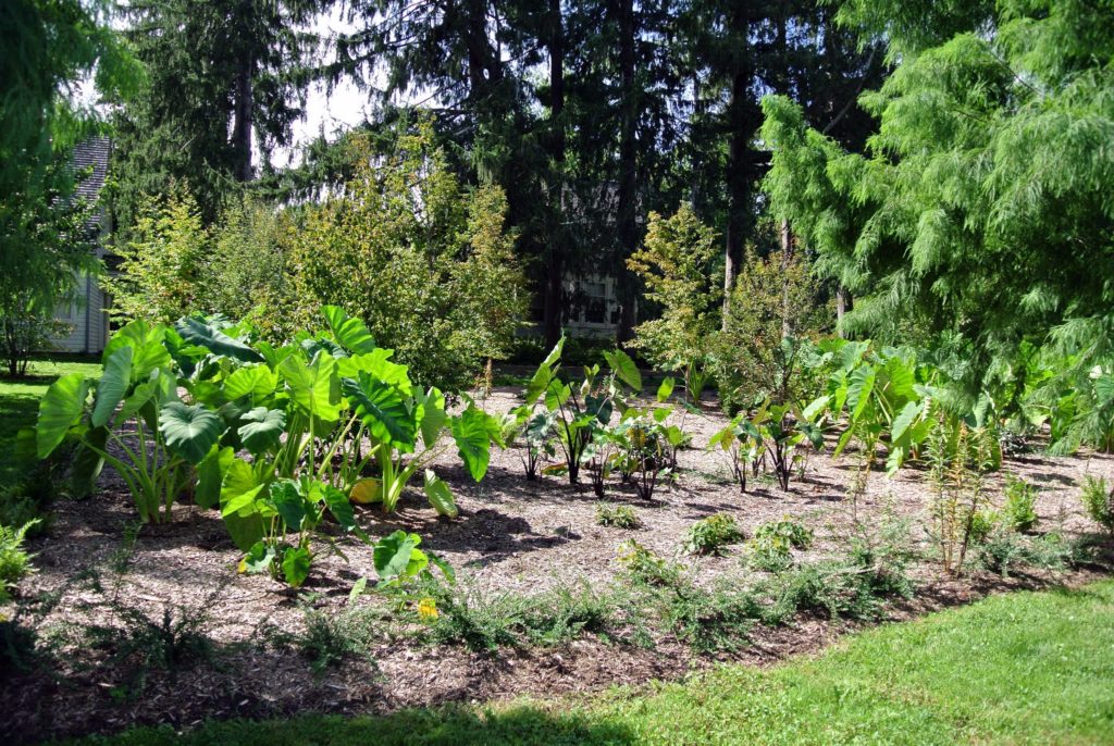 An End of Summer Garden Tour - The Martha Stewart Blog