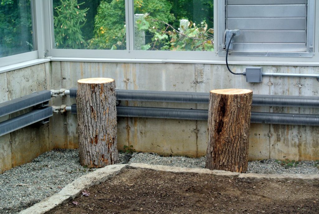 Making Better Use of My Vegetable Greenhouse - The Martha Stewart Blog