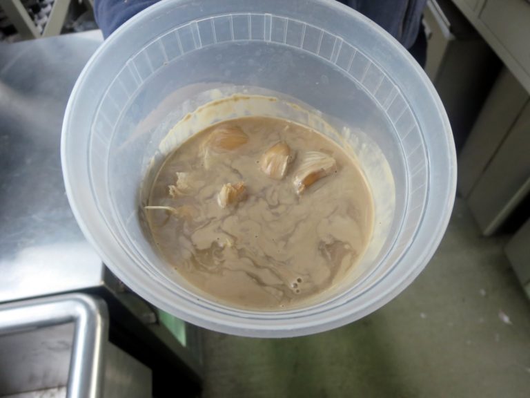 The Martha Stewart Blog : Blog Archive Planting the Next Crop of Garlic ...