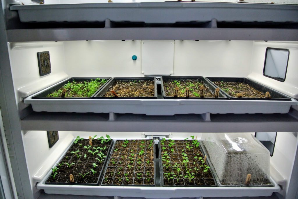 The Martha Stewart Blog : Blog Archive Using Our Urban Cultivators ...