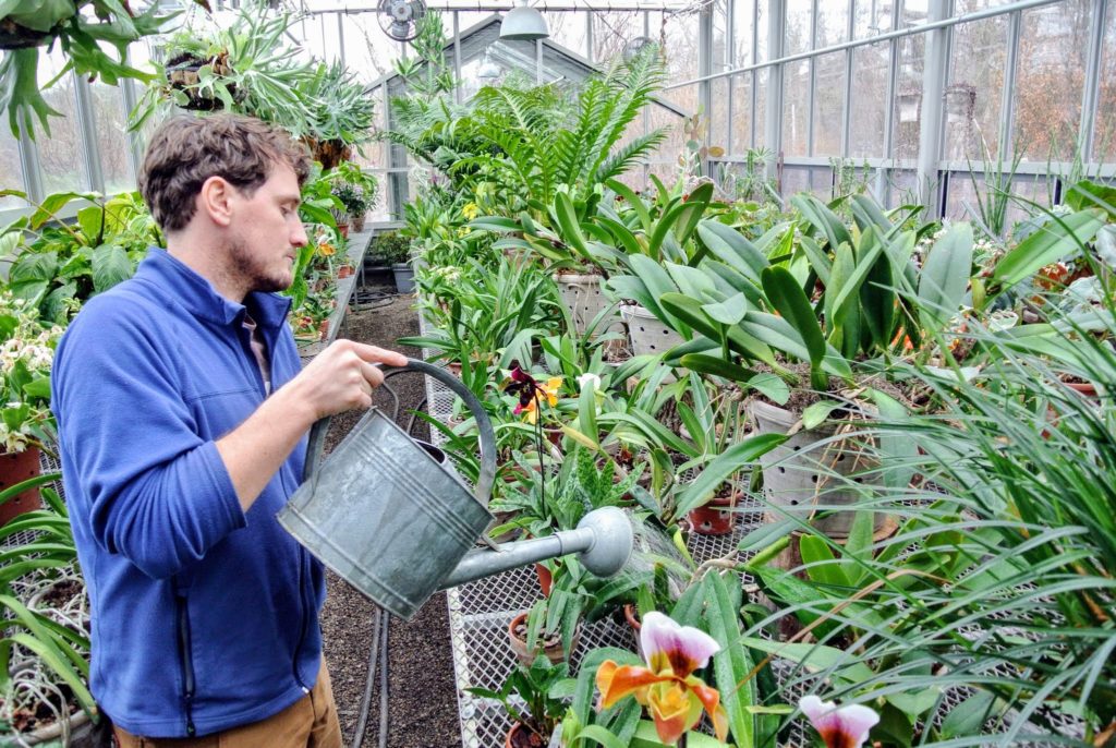 Preparing the Farm for a Storm - The Martha Stewart Blog