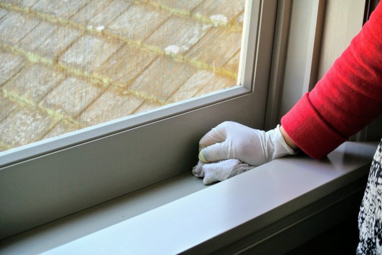The Martha Stewart Blog : Blog Archive Spring-Cleaning: Windows - The ...
