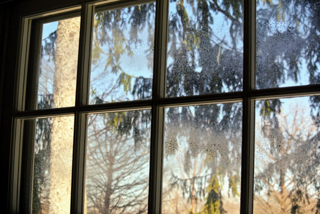 The Martha Stewart Blog : Blog Archive Spring-Cleaning: Windows - The ...