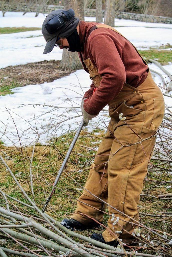 A Big Pruning Project At The Farm The Martha Stewart Blog