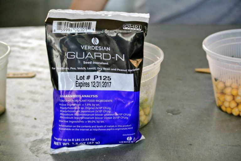 Soaking and Planting the Peas - The Martha Stewart Blog