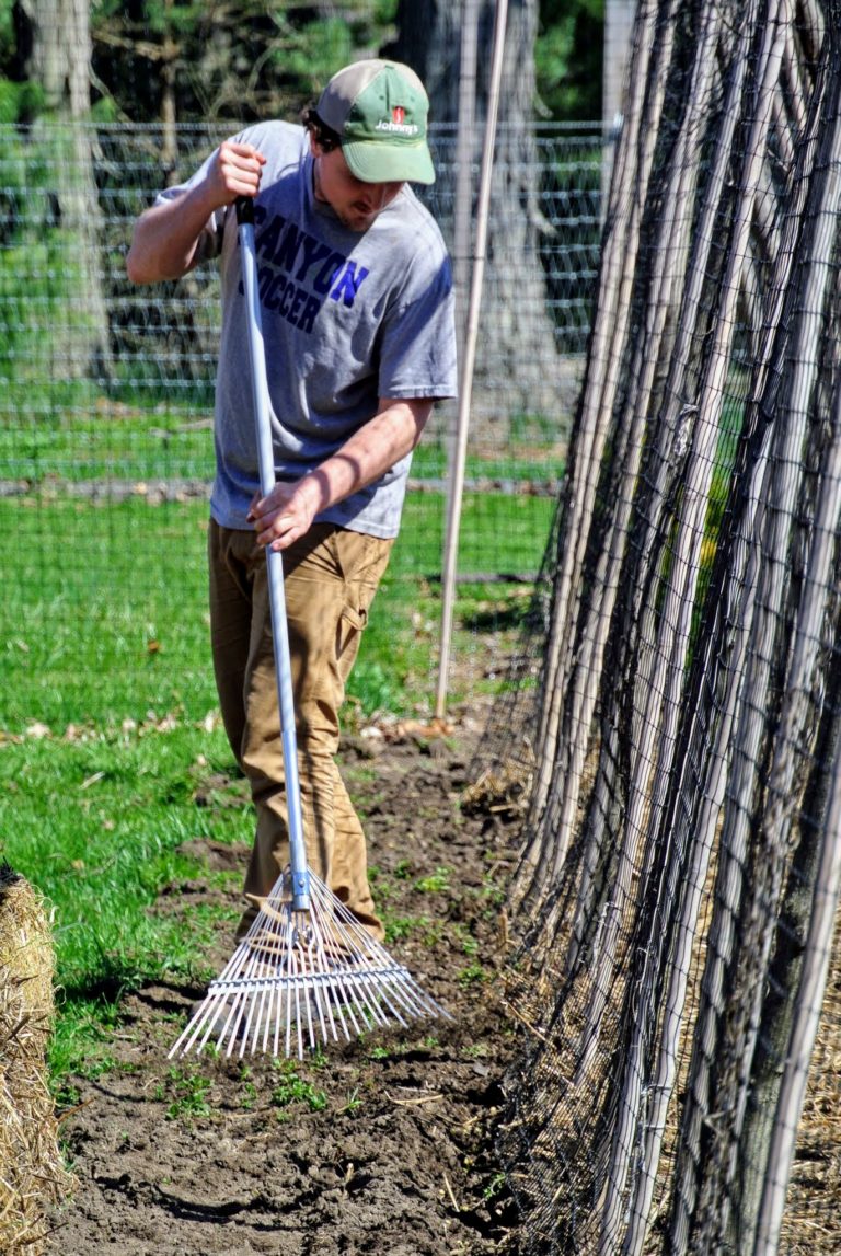 Soaking and Planting the Peas - The Martha Stewart Blog