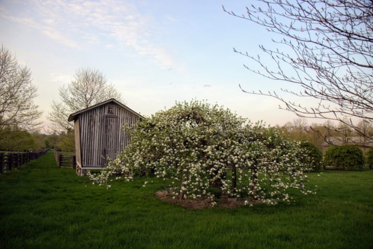 My Farm's Spring Gardens - The Martha Stewart Blog