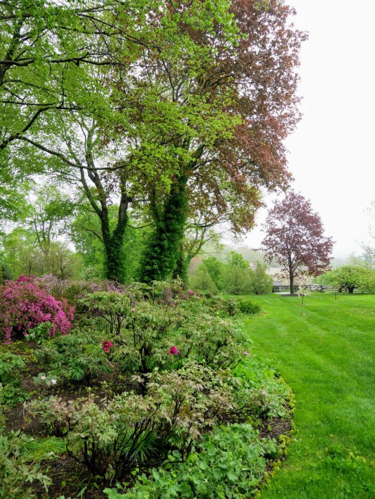 An Early Morning Tour of My Farm - The Martha Stewart Blog