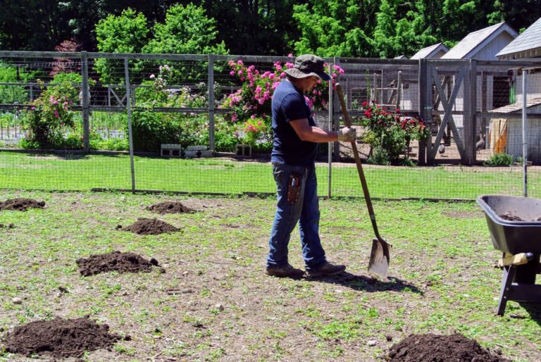 Planting in the Pumpkin Patch - The Martha Stewart Blog