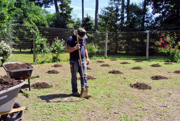 Planting in the Pumpkin Patch - The Martha Stewart Blog