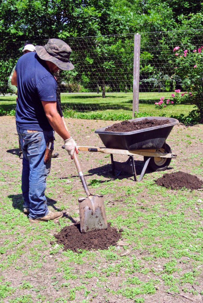 Planting in the Pumpkin Patch - The Martha Stewart Blog