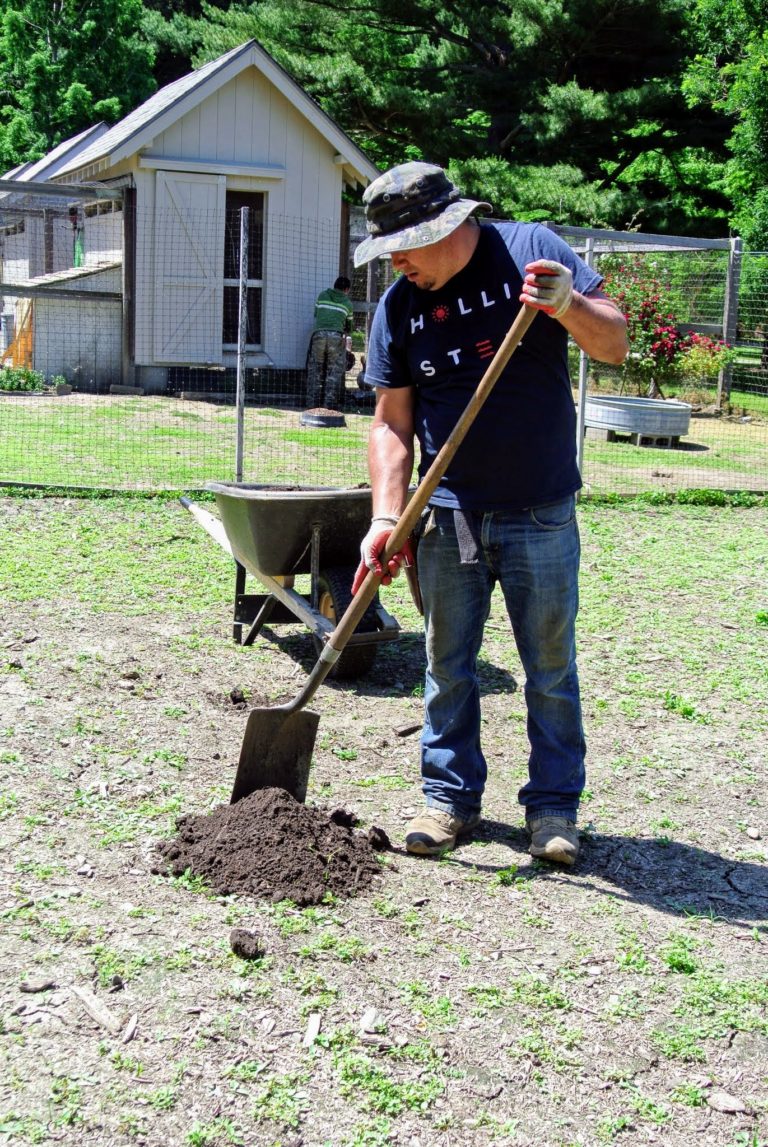 Planting in the Pumpkin Patch - The Martha Stewart Blog