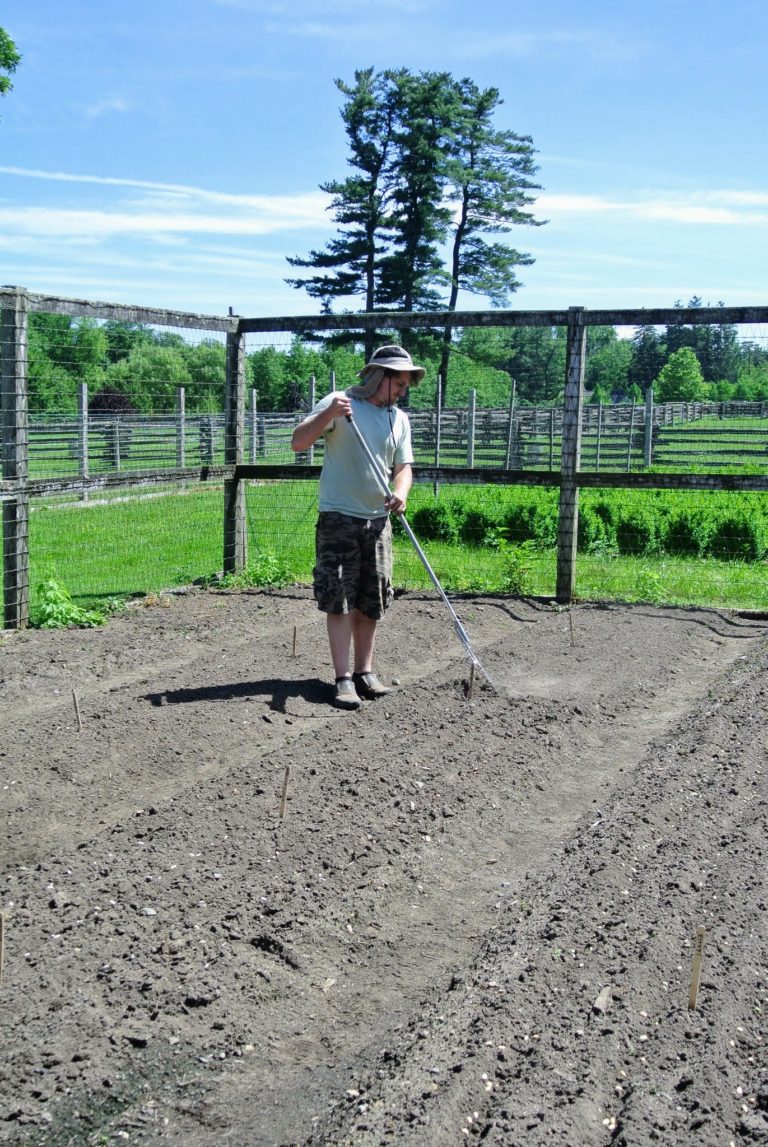 The Martha Stewart Blog : Blog Archive Planting Beans in the Vegetable ...
