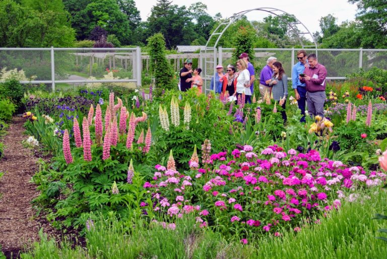 The First Garden Tours of the Season - The Martha Stewart Blog
