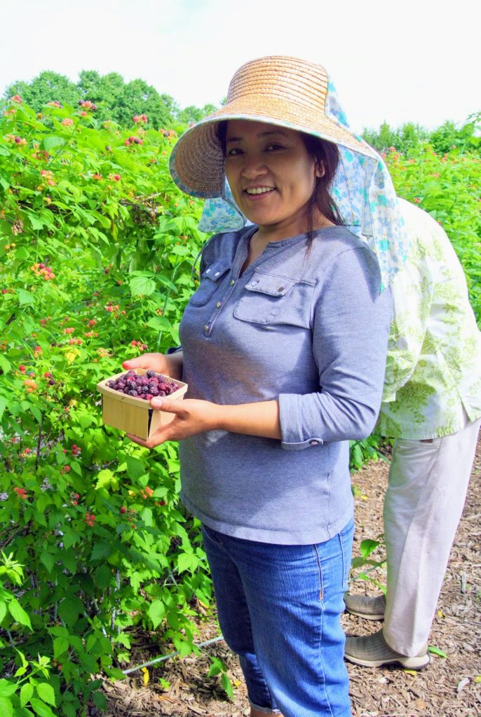Picking Raspberries at My Farm - The Martha Stewart Blog