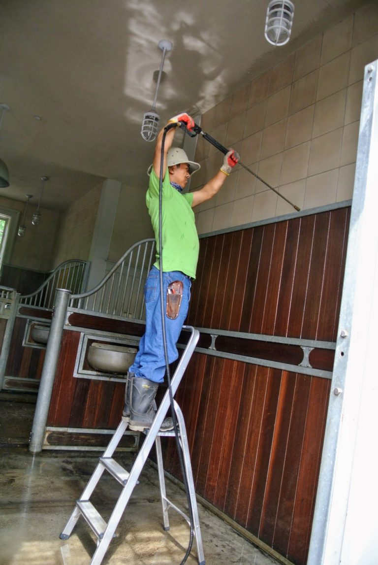 Cleaning My Stable - The Martha Stewart Blog