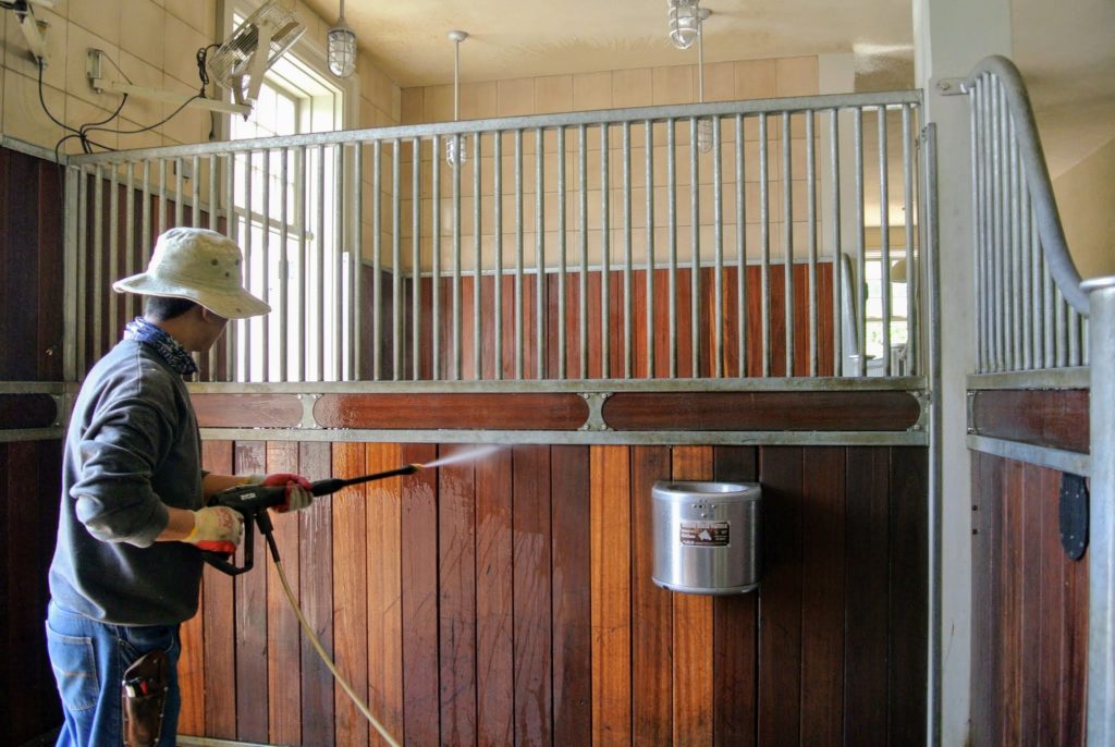 Cleaning My Stable - The Martha Stewart Blog