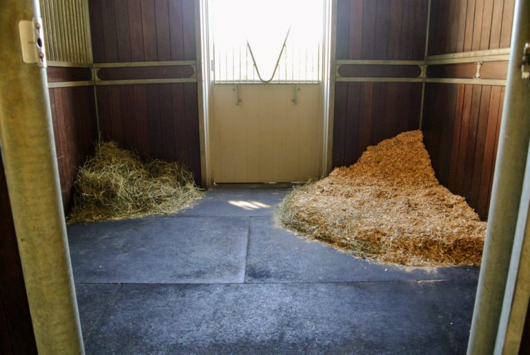 Cleaning My Stable - The Martha Stewart Blog