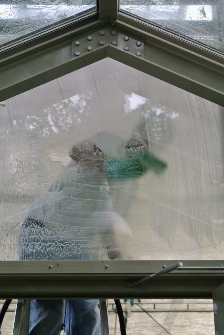 Cleaning the Main Greenhouse Windows - The Martha Stewart Blog