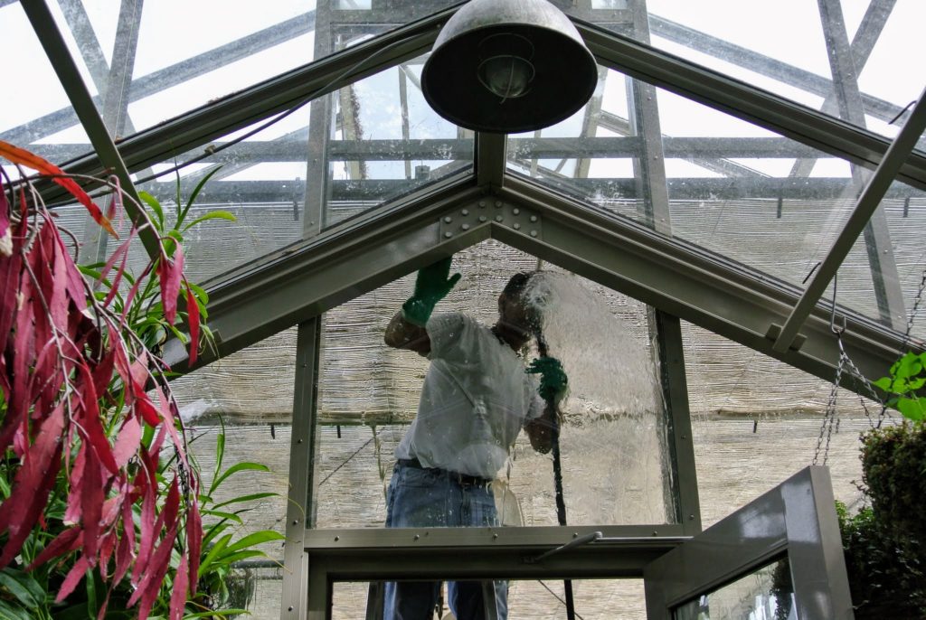 Cleaning the Main Greenhouse Windows - The Martha Stewart Blog