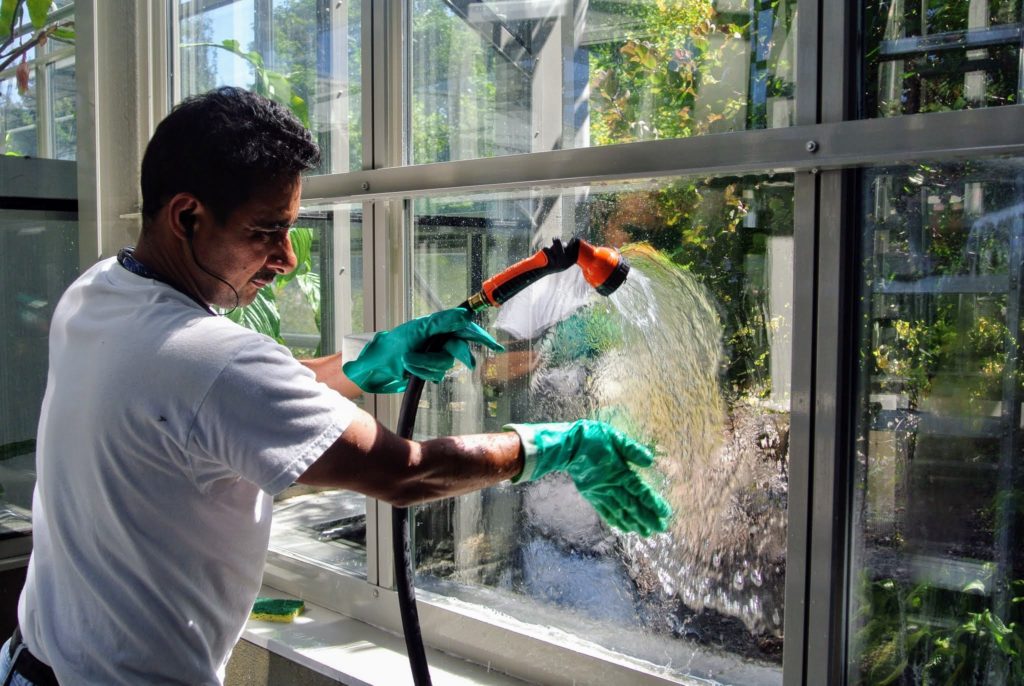 Cleaning the Main Greenhouse Windows - The Martha Stewart Blog