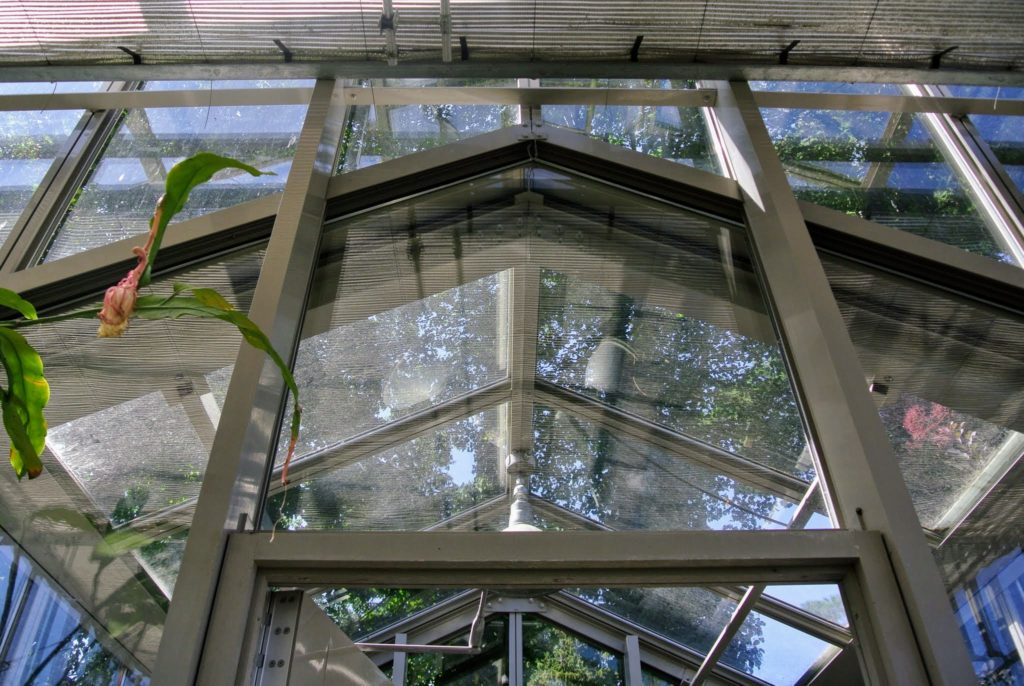 The Martha Stewart Blog : Blog Archive Cleaning the Main Greenhouse ...