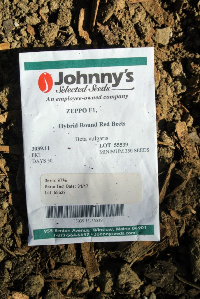 Planting in My Vegetable Greenhouse - The Martha Stewart Blog