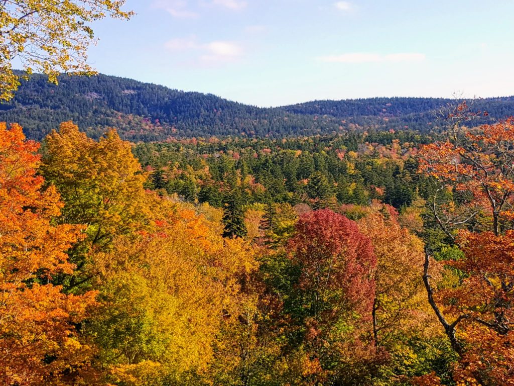 The Martha Stewart Blog : Blog Archive Fall Foliage in Maine - The ...