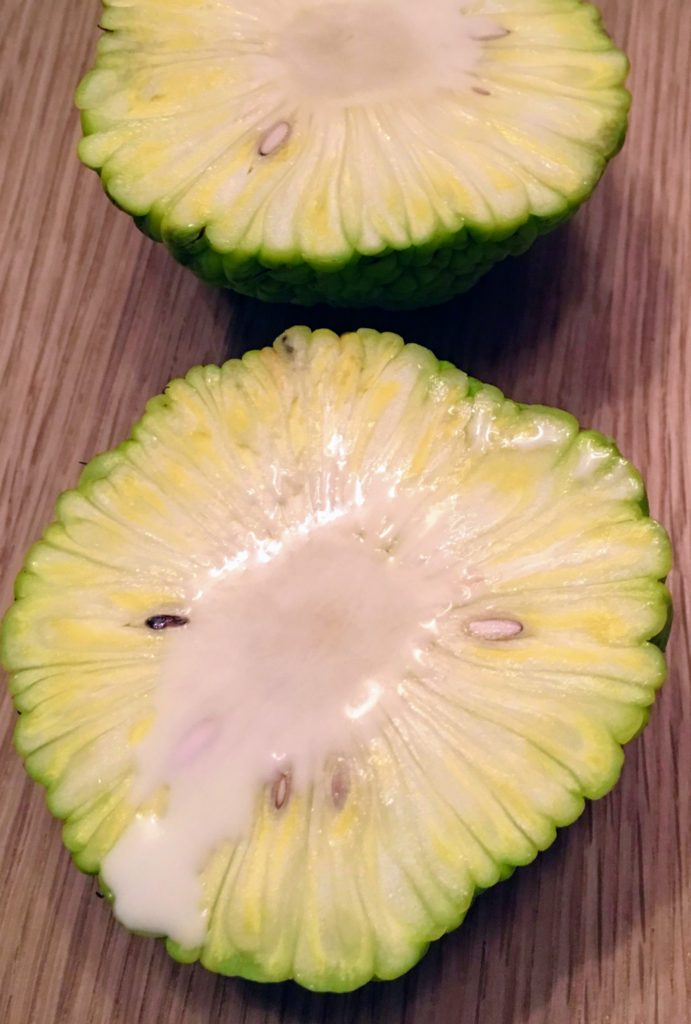 The Martha Stewart Blog : Blog Archive The Osage Oranges at My Farm ...