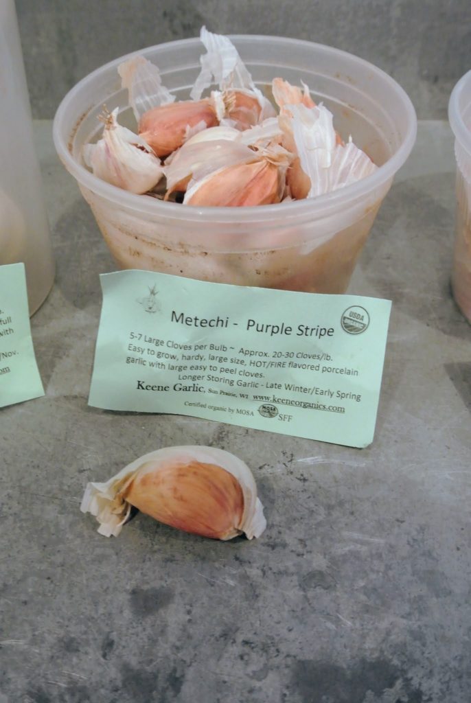 Planting Garlic at My Farm - The Martha Stewart Blog