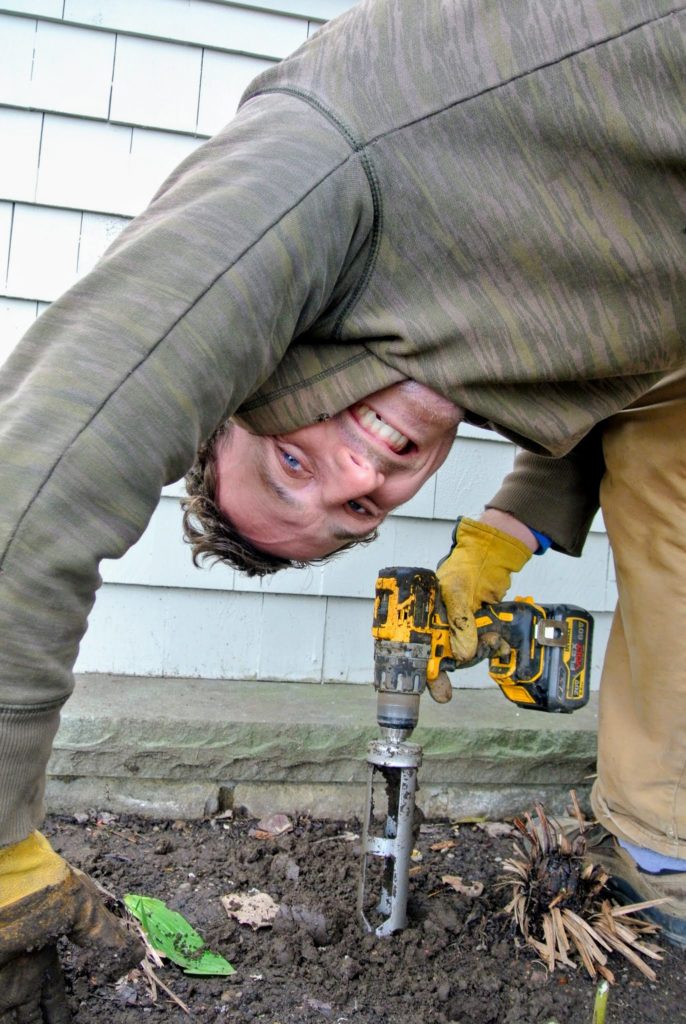 Planting More Spring-Blooming Bulbs Around the Farm - The Martha ...