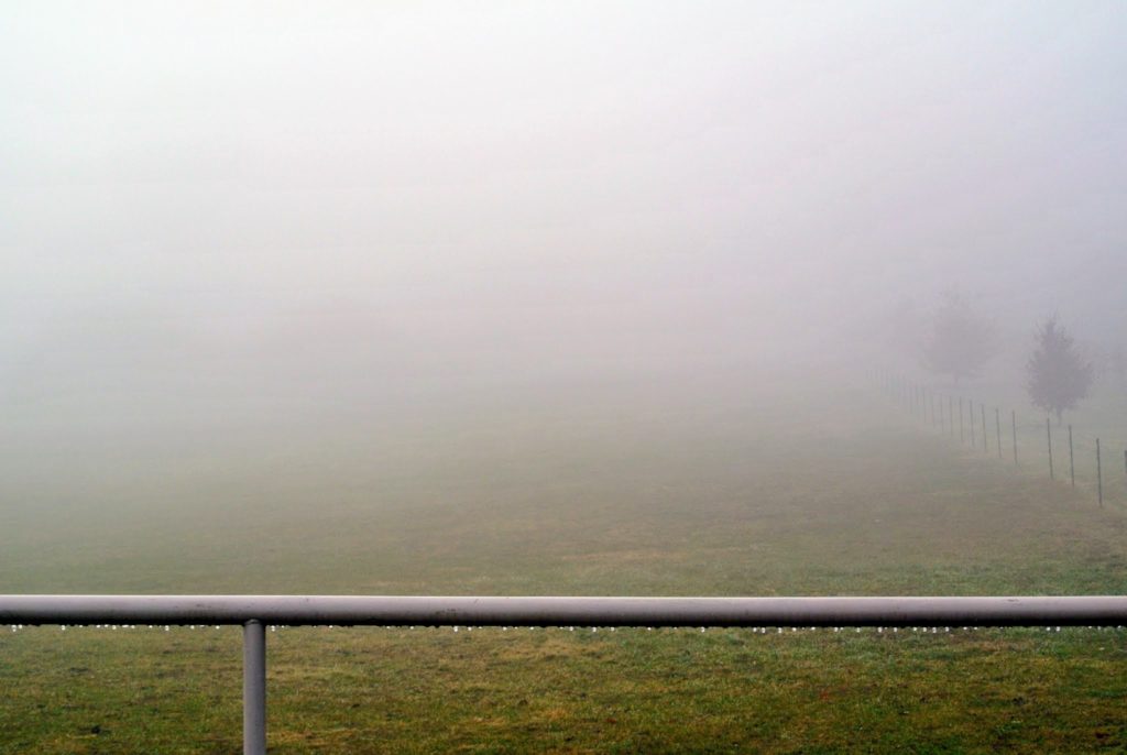 The Martha Stewart Blog : Blog Archive Early Morning Fog at the Farm ...