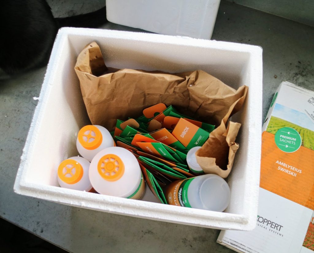 Using Beneficial Insects from Koppert Biological Systems - The Martha ...