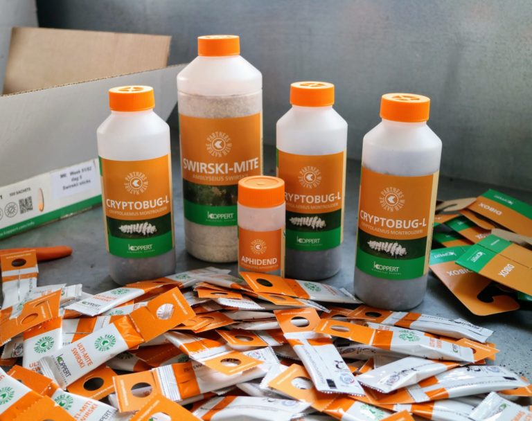 Using Beneficial Insects from Koppert Biological Systems - The Martha ...