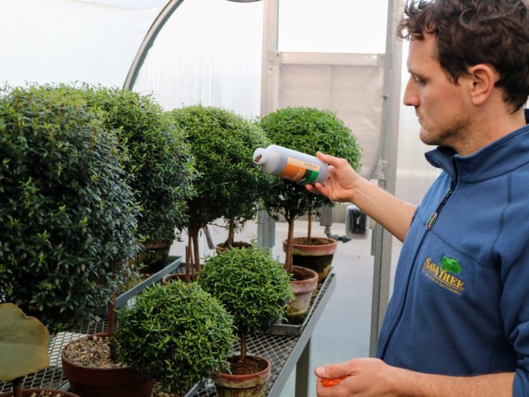 Using Beneficial Insects from Koppert Biological Systems - The Martha ...