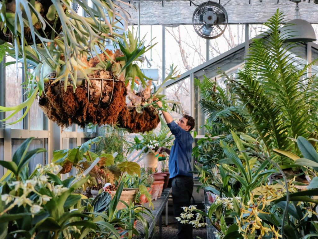 Using Beneficial Insects from Koppert Biological Systems - The Martha ...