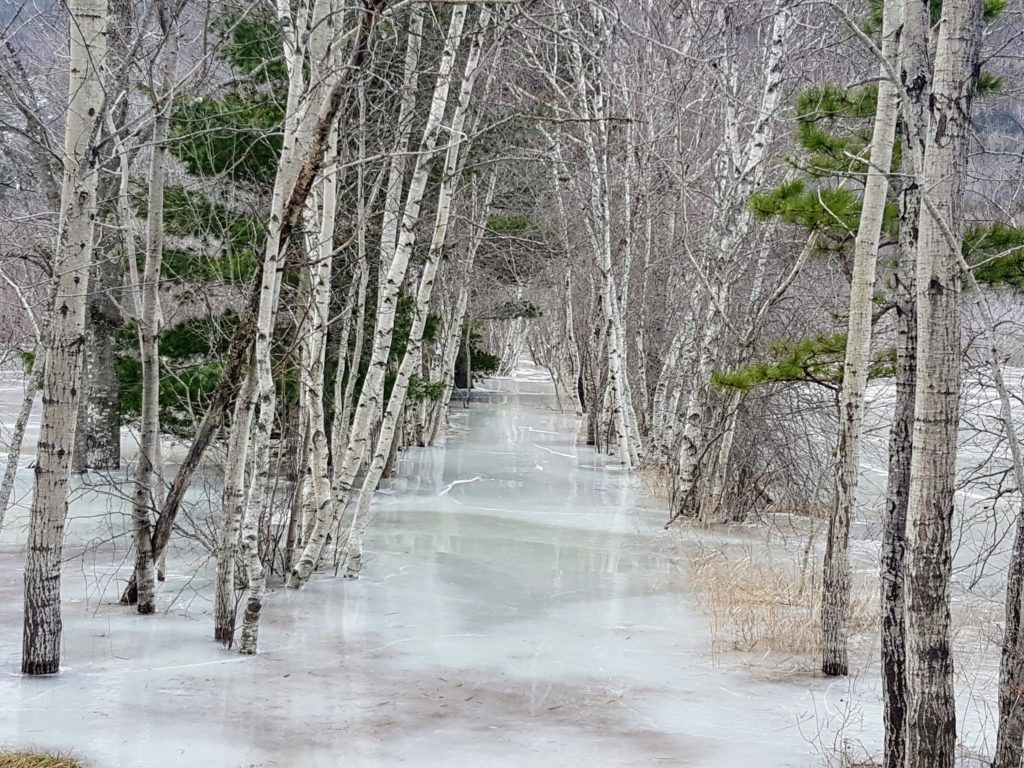 January at Skylands and in the Surrounding Areas - The Martha Stewart Blog