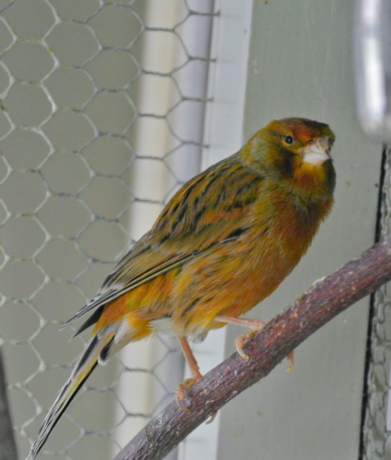 The Martha Stewart Blog : Blog Archive A Visit with My Beautiful ...