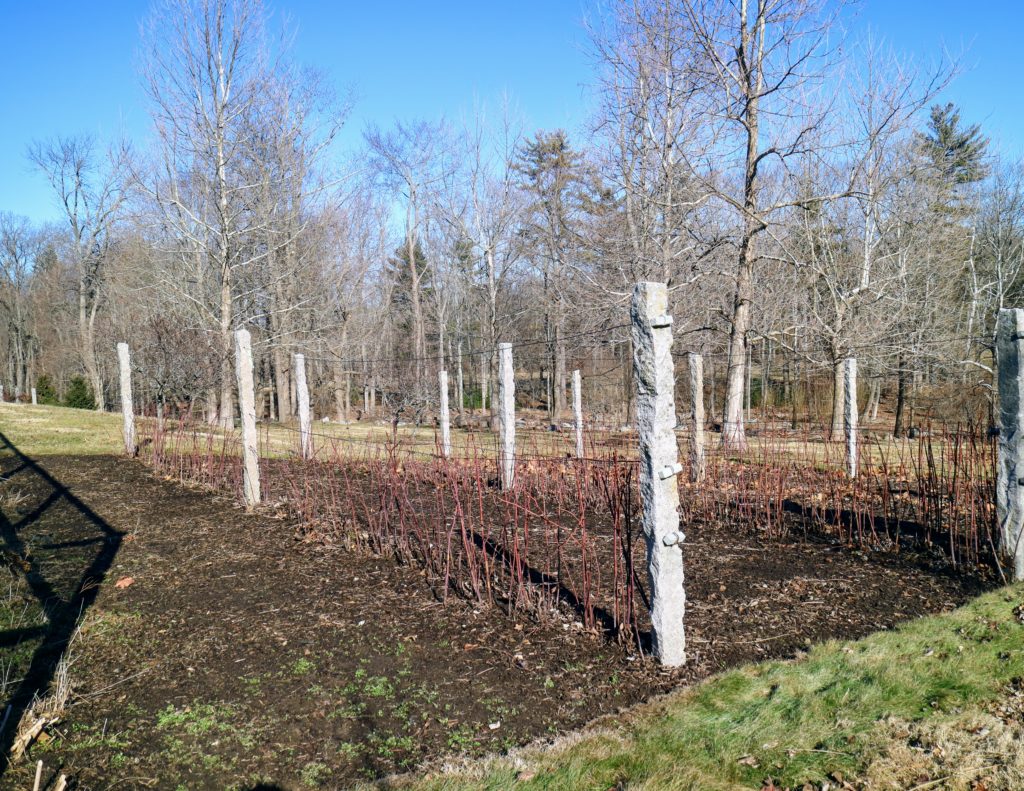 Woodland Maintenance Around the Farm - The Martha Stewart Blog