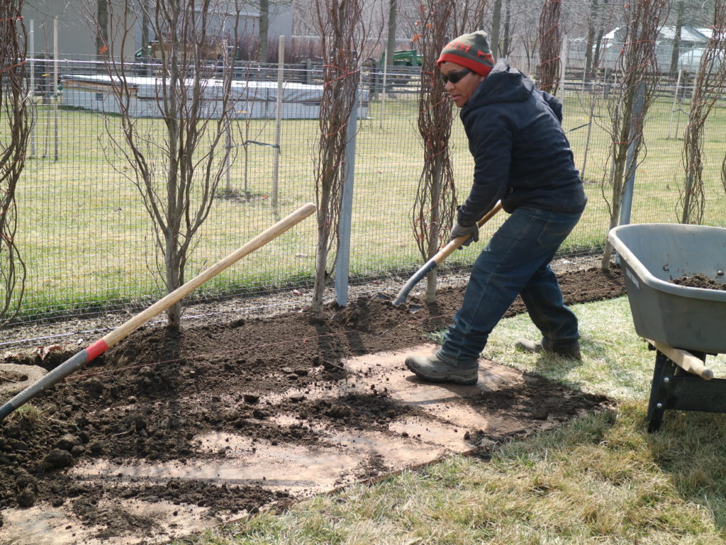 Planting a New Hedge at the Farm - The Martha Stewart Blog