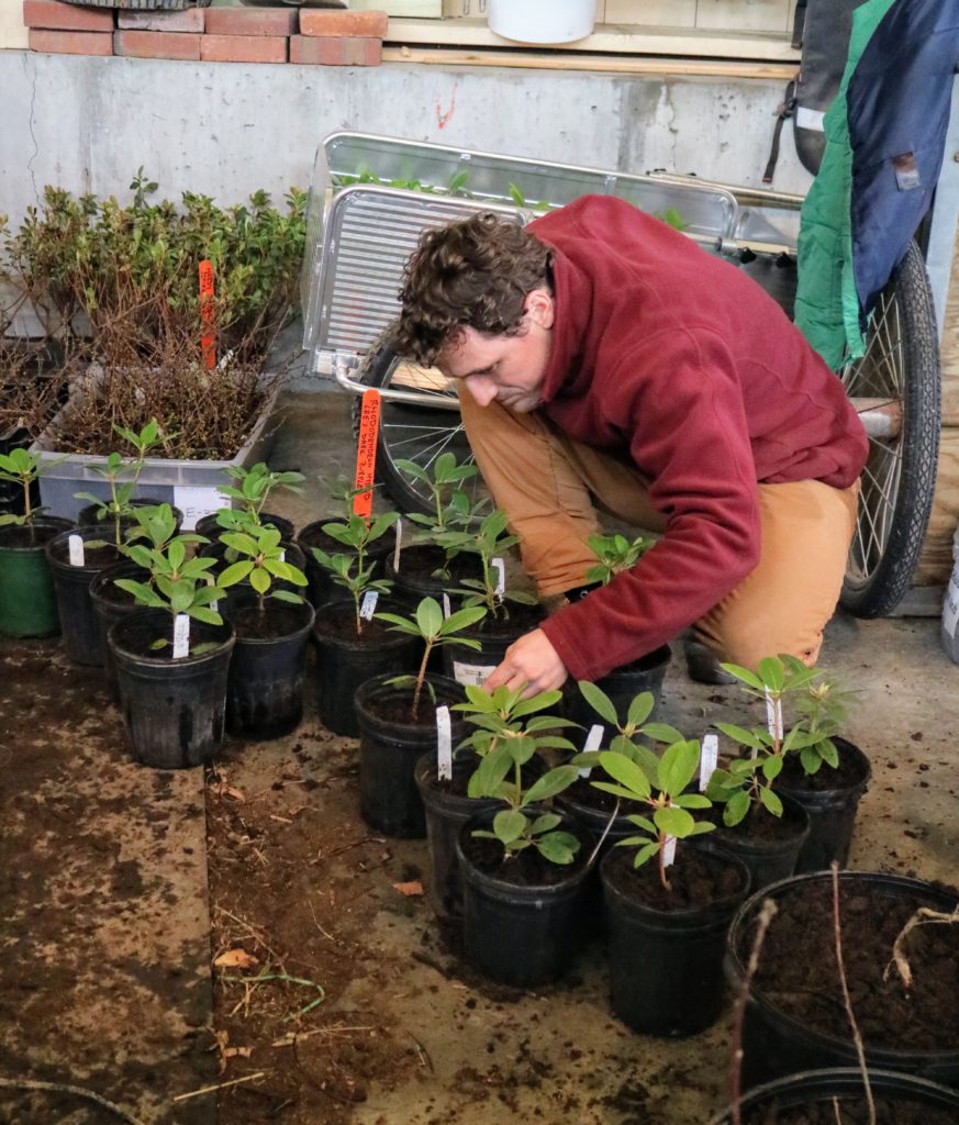 Potting Lots of Trees at My Farm - The Martha Stewart Blog