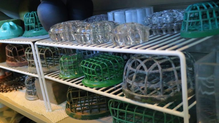 Cleaning My Flower Room Pantry - The Martha Stewart Blog