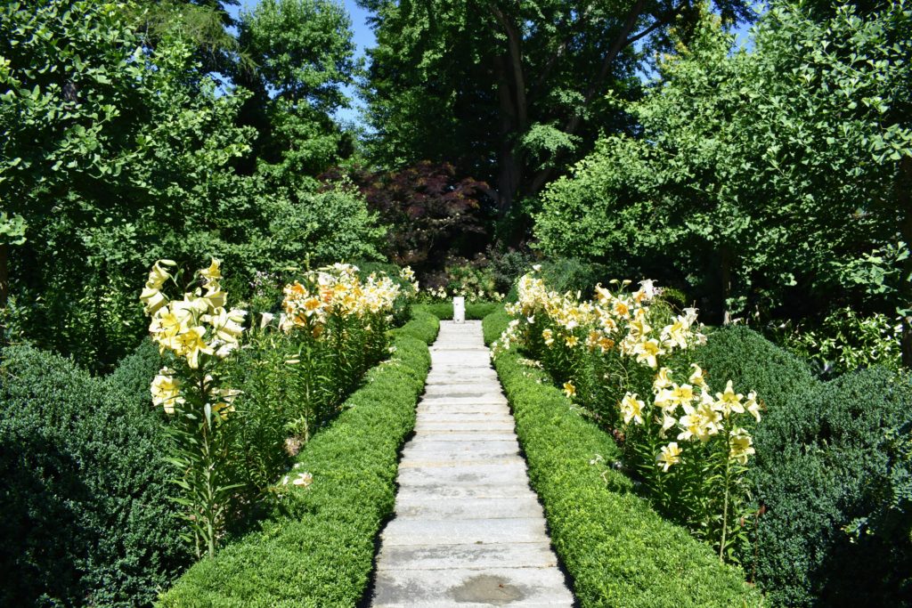 Staking the Lilies in My Summer House Garden - The Martha Stewart Blog