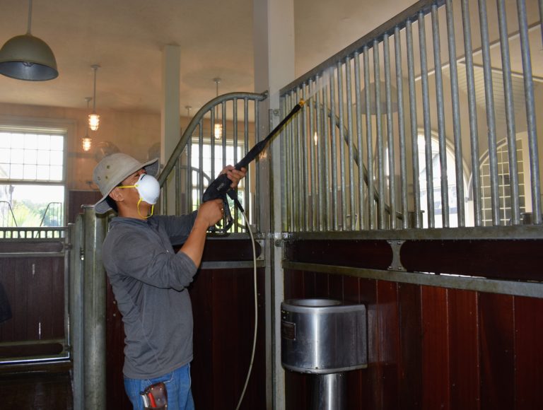 My Stable Gets a Thorough Cleaning - The Martha Stewart Blog