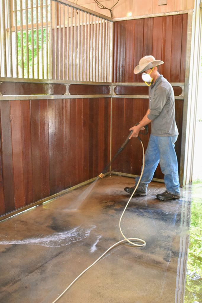 My Stable Gets a Thorough Cleaning - The Martha Stewart Blog
