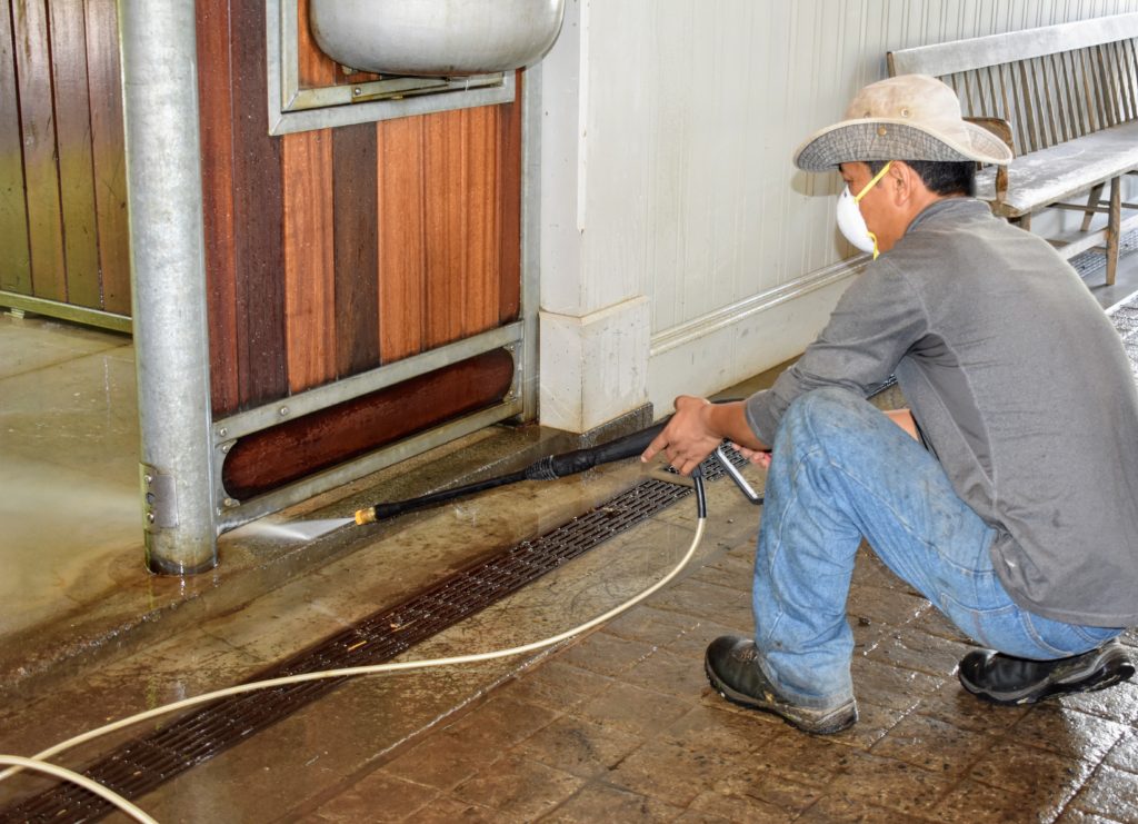 The Martha Stewart Blog : Blog Archive My Stable Gets a Thorough ...